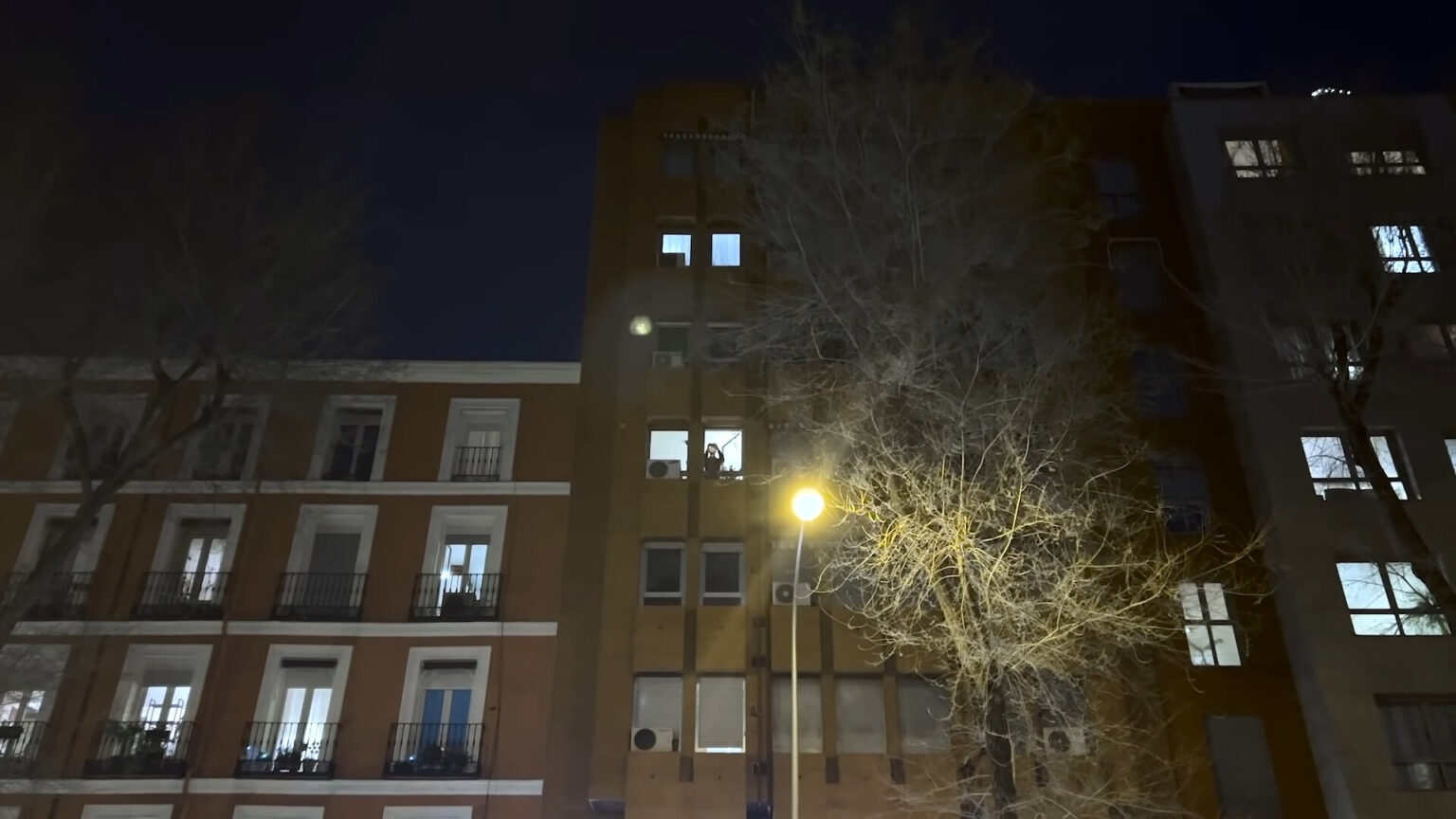 A Gallery of Dutch Windows: A Unique Perspective - The Leidener
